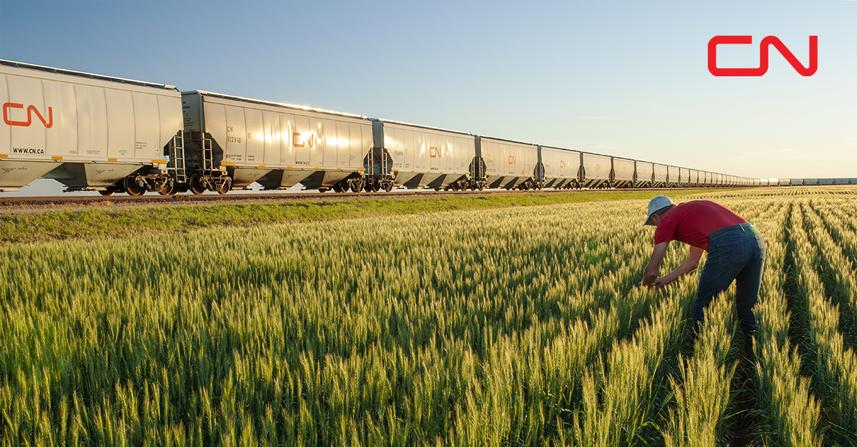 Scorecarding the End-to-End Grain Supply Chain|cn.ca