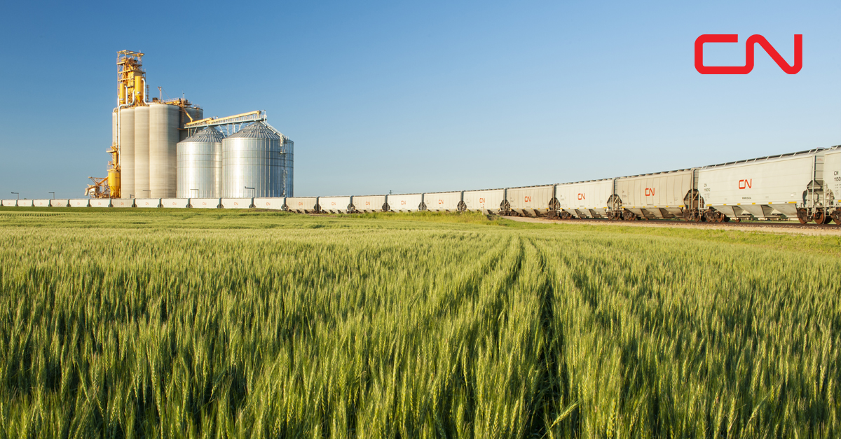 The Evolution of Grain Processing and the Primary Elevator Network in ...
